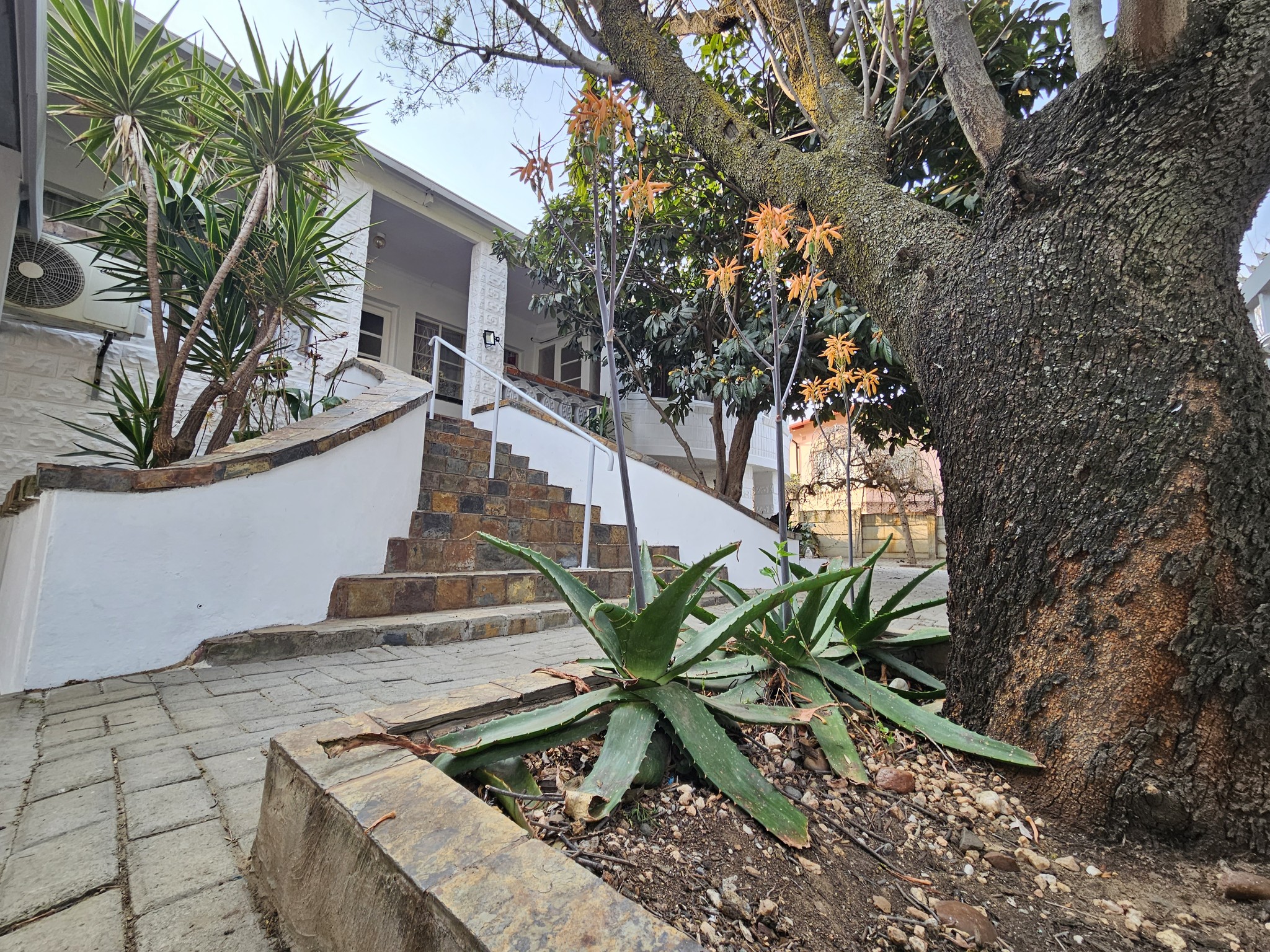 Regal Property Management Kroonstad – Find Your Dream Home